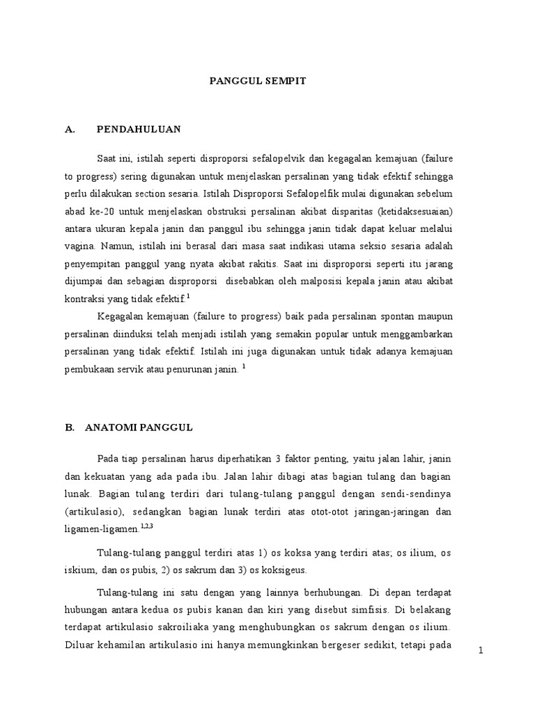 Panggul Sempit | PDF