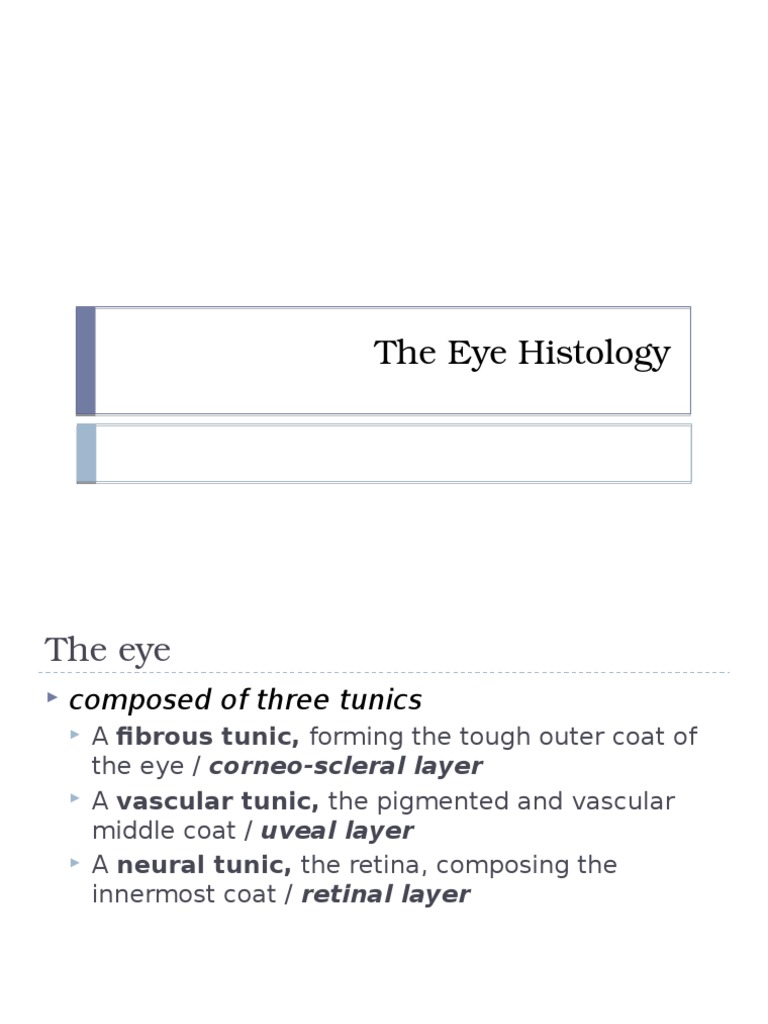 The Eye Histology | PDF | Cornea | Human Eye