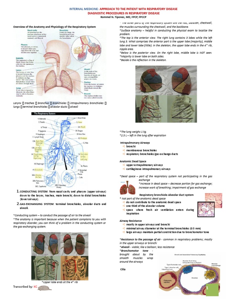 Approach To The Patient With Respiratory Disease PDF | PDF ...