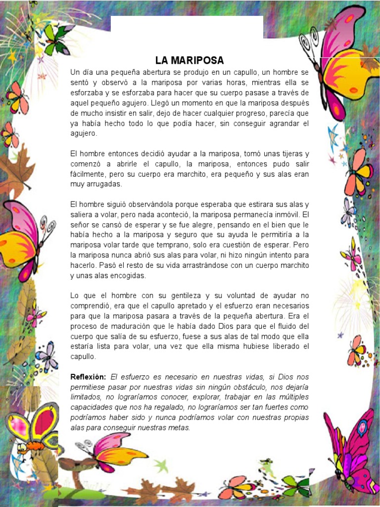 Reflexión La Mariposa