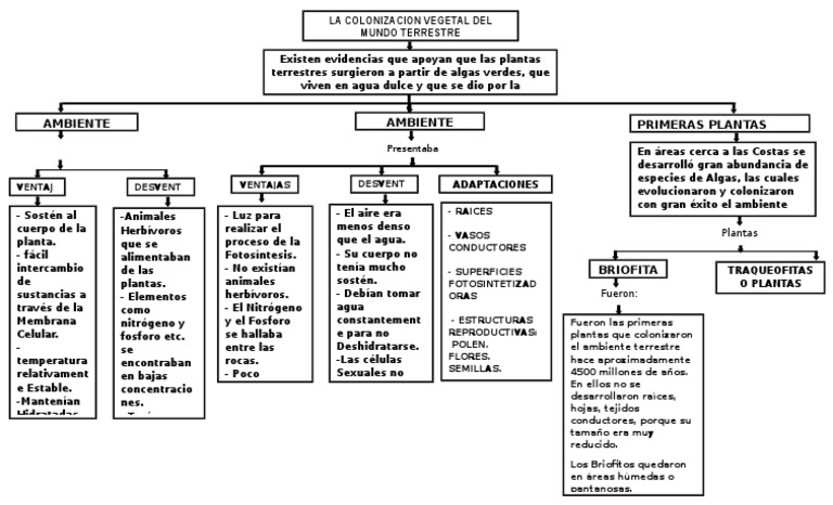 Mapa de Biologia | PDF | Plantas | Organismos