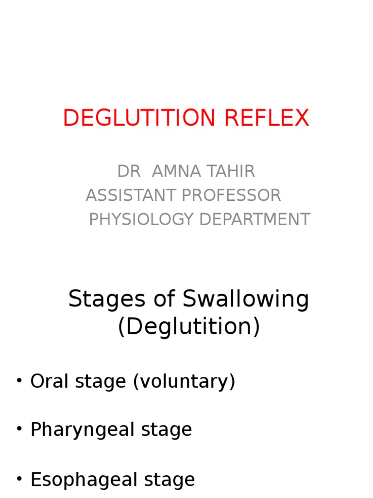 Physiology of the Deglutition Reflex | PDF | Esophagus | Human Head And ...