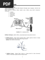 Pemeriksaan Refleks Patologis Neurologi | PDF | Sains & Matematika