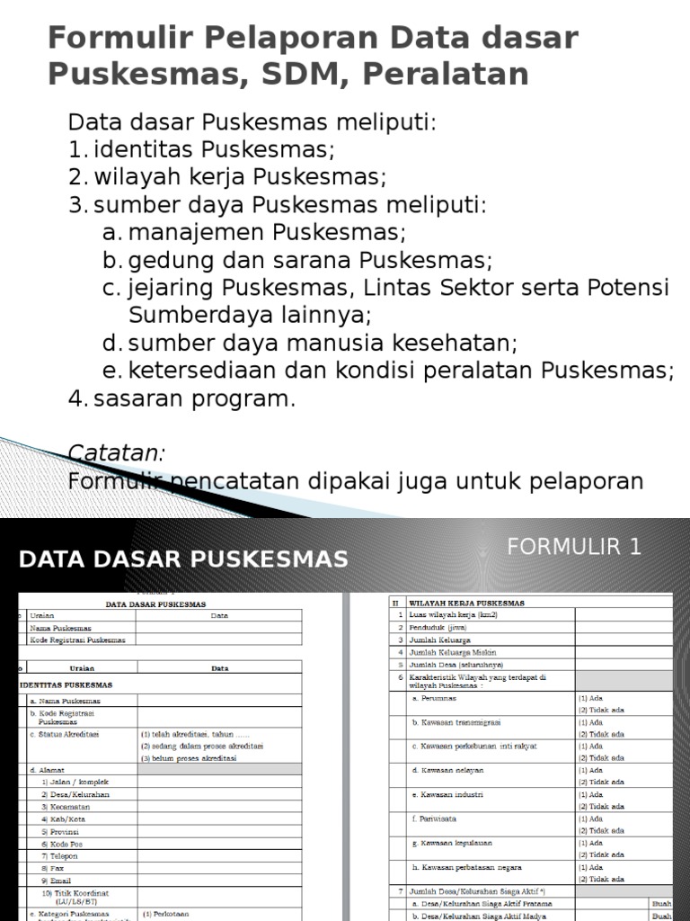 01pelaporan Data Dasar | PDF