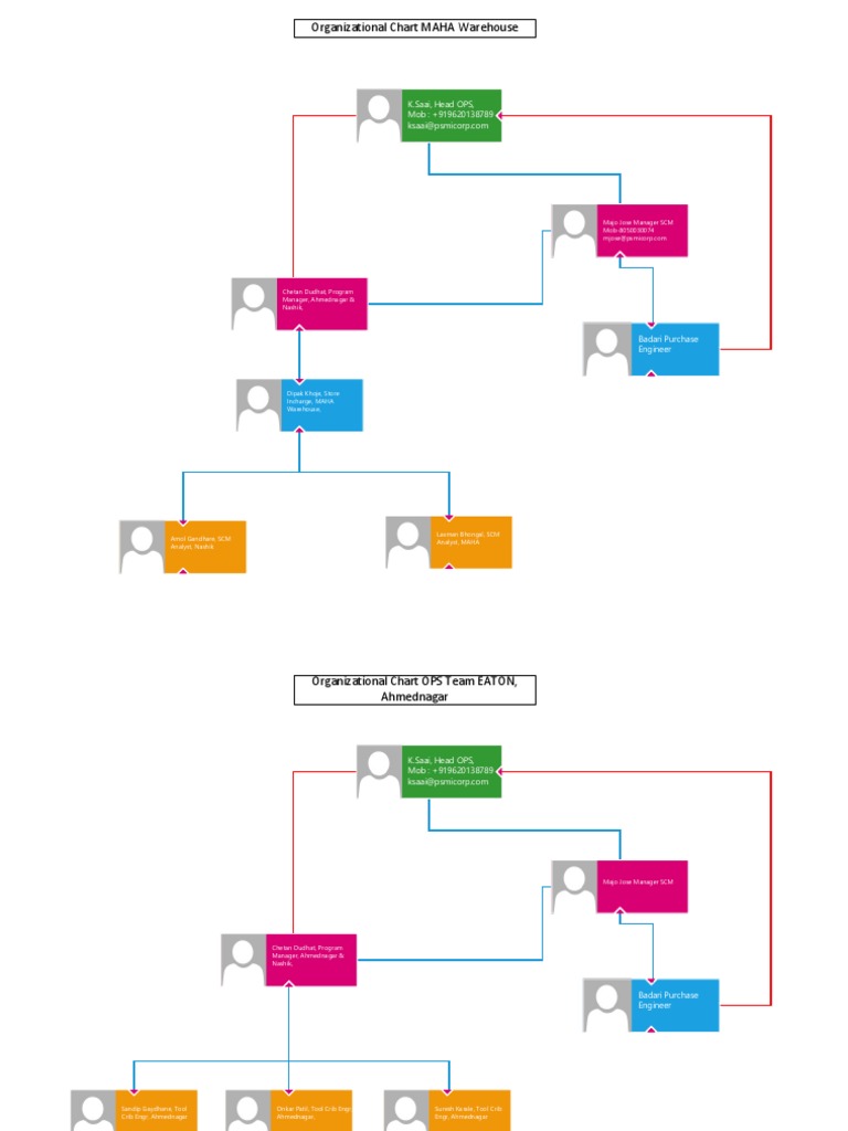 Eaton Operations Team Structure | PDF