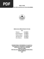 CDM Dan PDM PDF | PDF