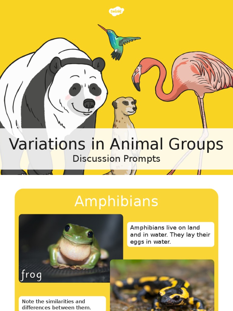 Grouping Animals Powerpoint | PDF | Egg | Amphibian