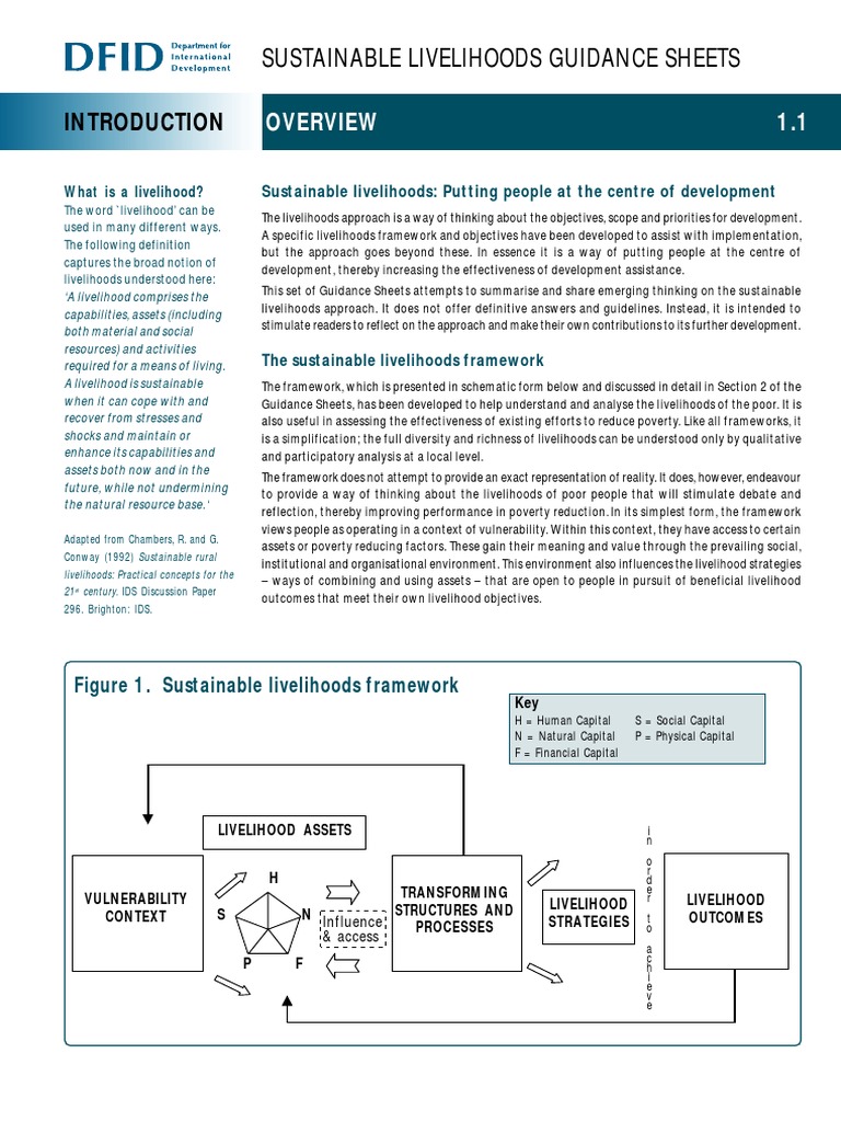 Dfid Sustainable Livelihoods Guidance Sheet Section1 | PDF | Sustainability | Department For ...