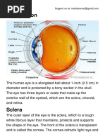 Confrontation Visual Fields - A Guide For Ophthalmologists in Training ...