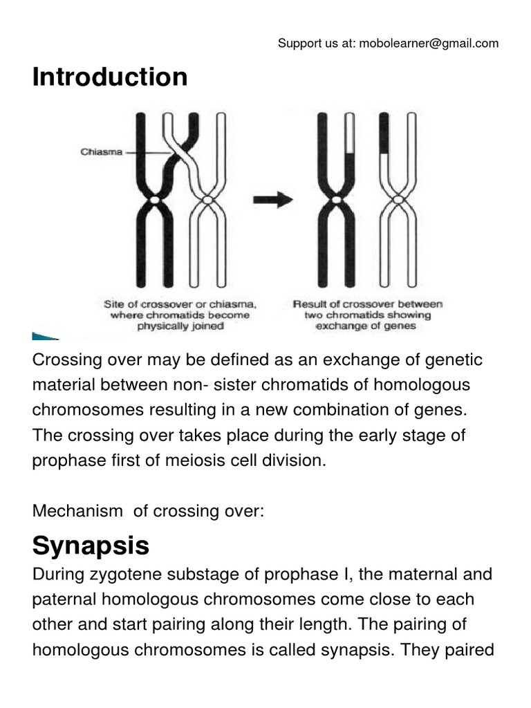 Mechanism of Crossing Over Explained | PDF | Social Science | Poetry