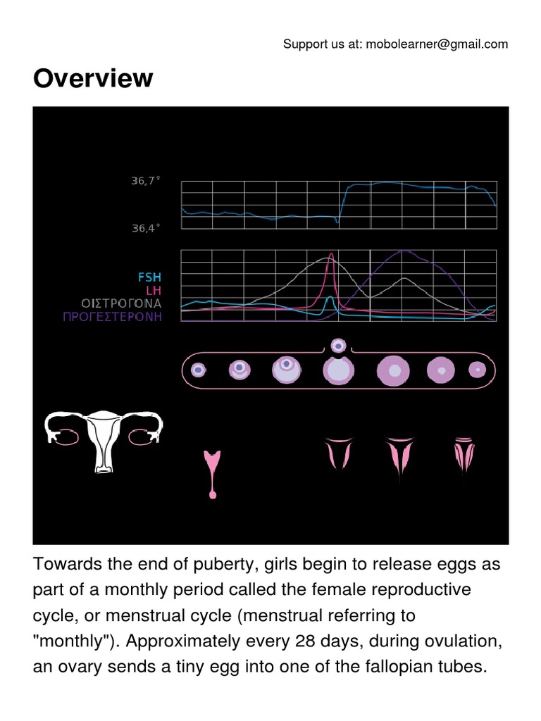 Female Reproductive Cycle PDF | PDF | Menstrual Cycle | Ovary