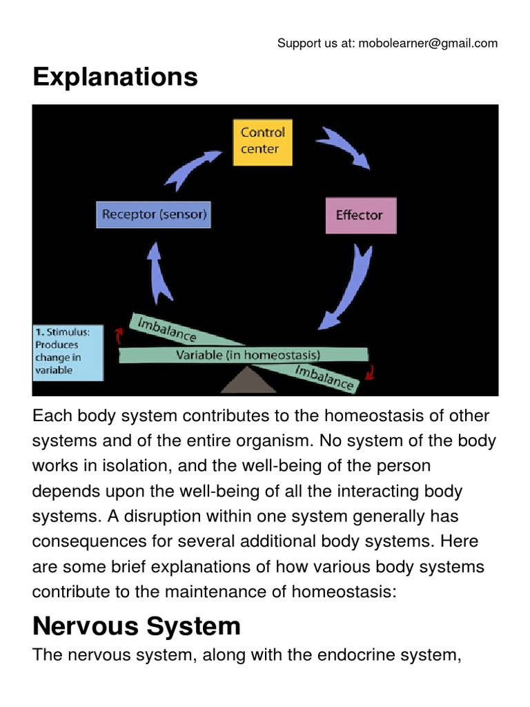 Homeostasis Throughout the Body.pdf | Human Body | Homeostasis