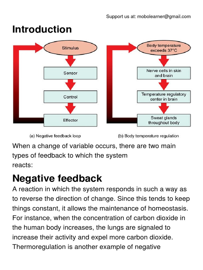 Positive and Negative Feedback PDF | PDF | Negative Feedback | Homeostasis