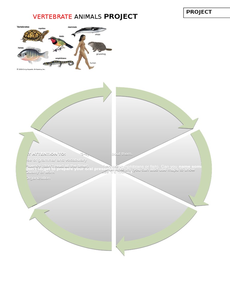 Vertebrates Project | PDF