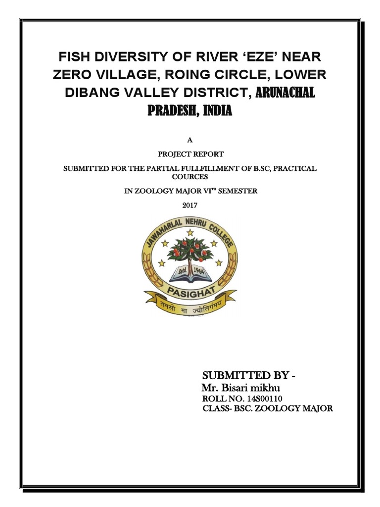 Project Work in Fish Diversity | PDF | Anatomical Terms Of Location ...