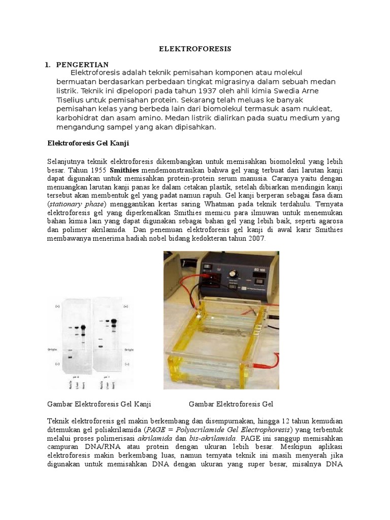 ELEKTROFORESIS | PDF
