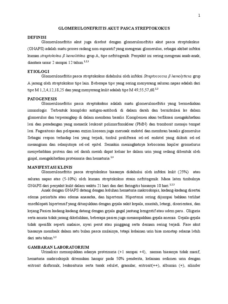 Definisi Gnaps | PDF