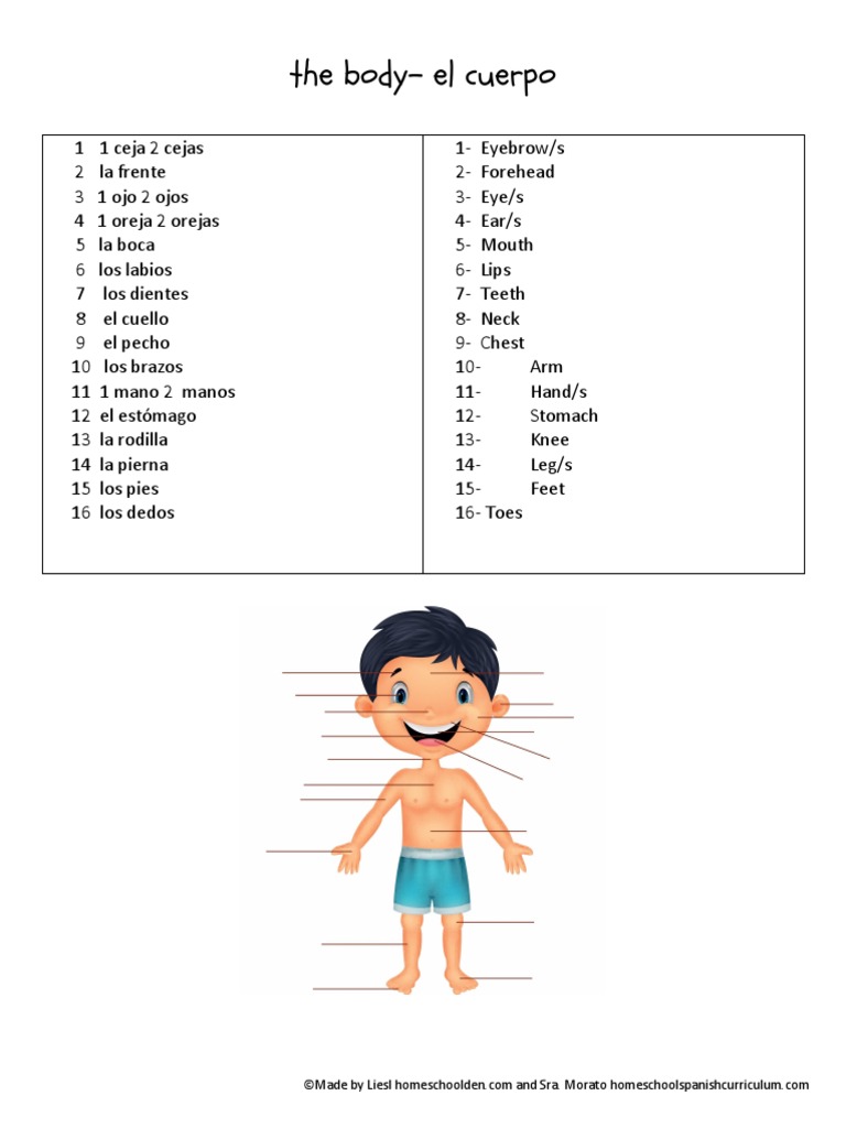 Free-Spanish-Worksheet 1 | PDF | Grammatical Gender | Morphology