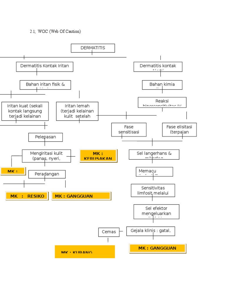 Dermatitis Kontak Woc | PDF