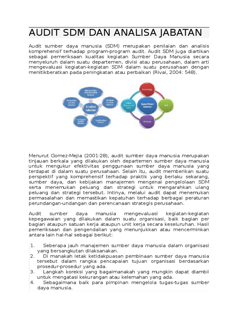 Audit SDM Dan Analisa Jabatan | PDF | Karier & Perkembangan