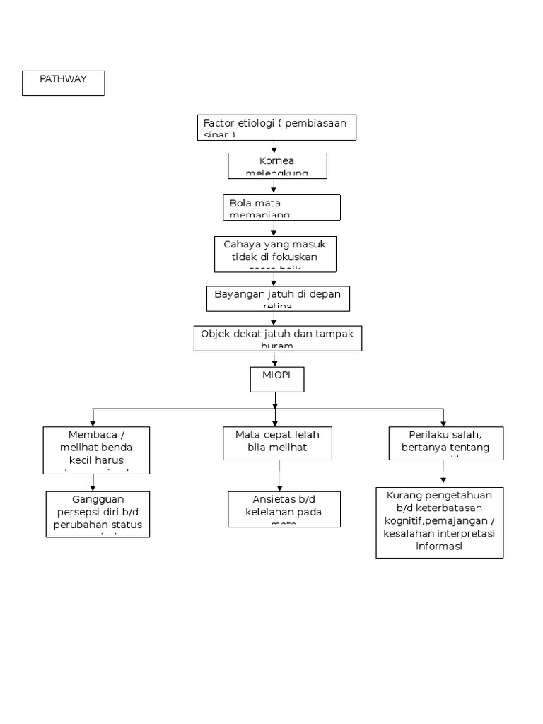 Pathway Miopi | PDF