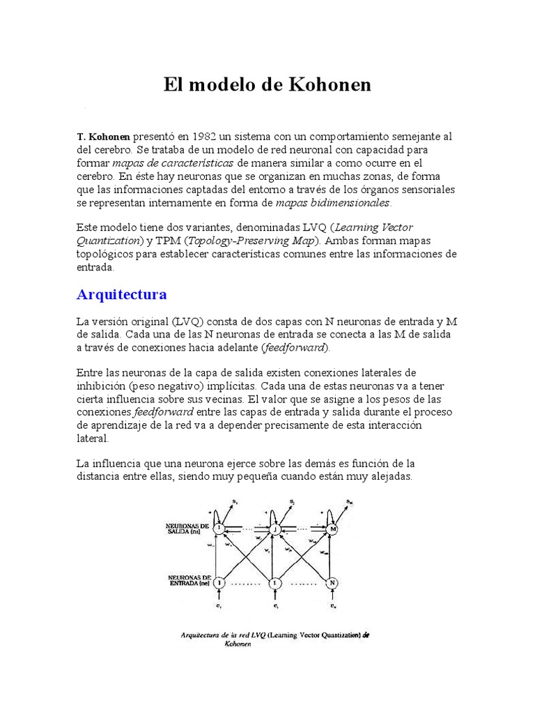 El Modelo de Kohonen | PDF | Neurona | Red de computadoras