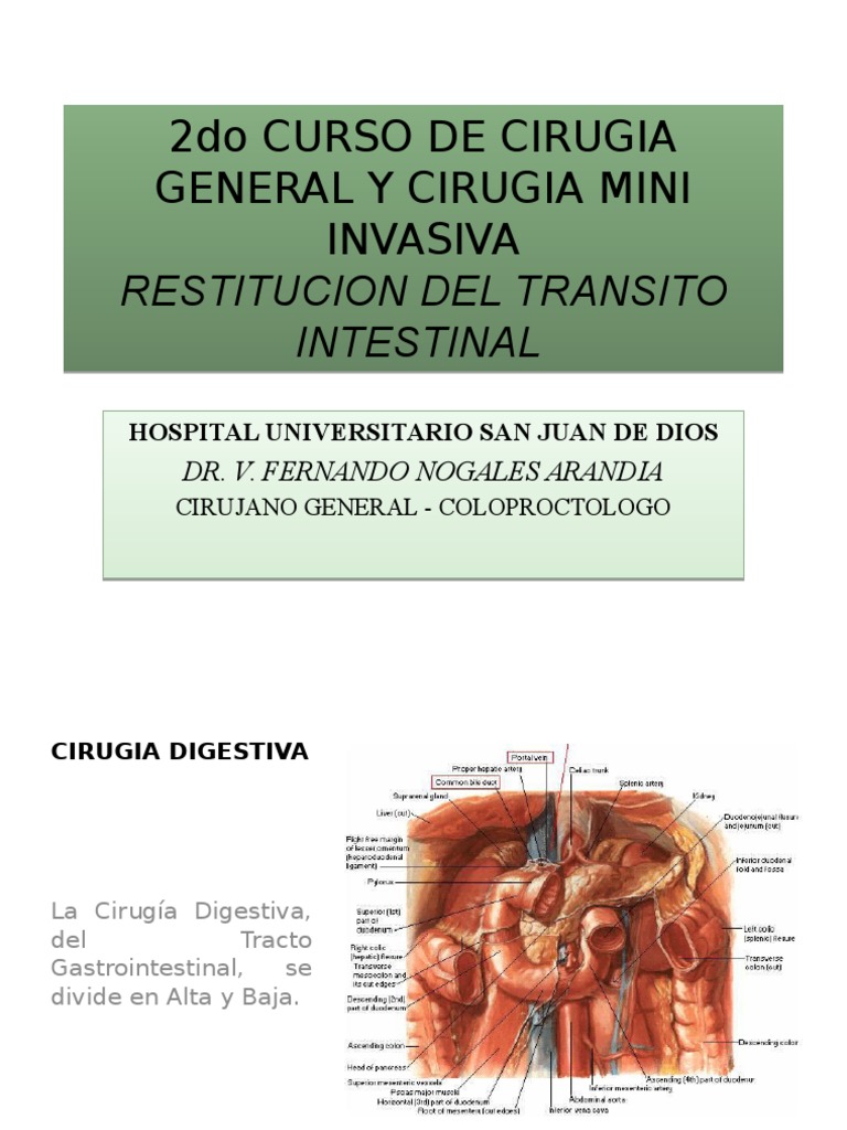 Restitucion Del Transito Intestinal | Septicemia | Intestino grueso