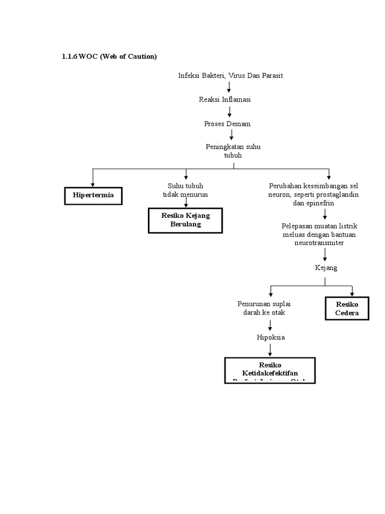 Woc Kejang Demam | PDF