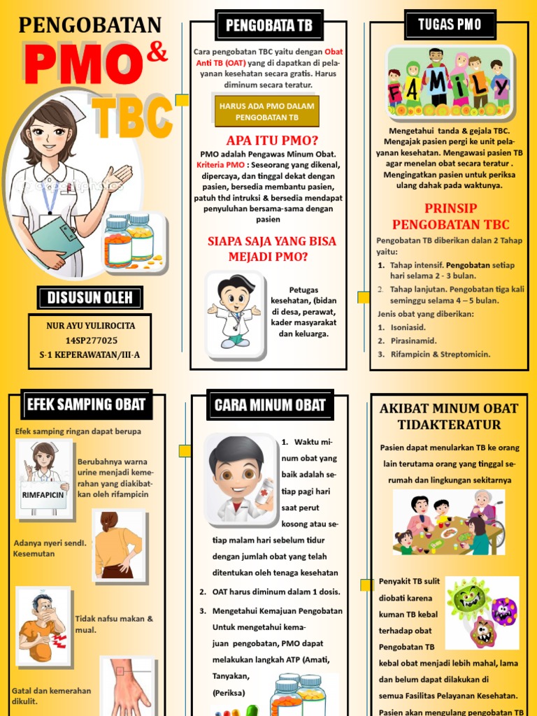 PDF Leaflet PMO | PDF