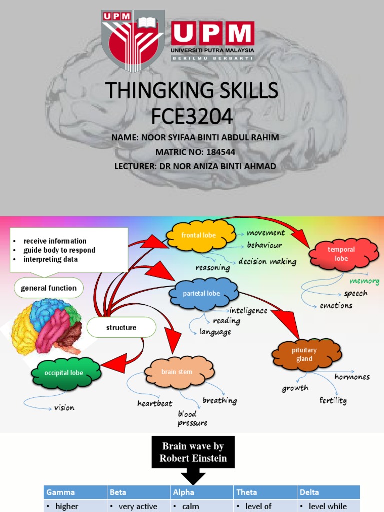 Thingking Skills | PDF | Memory | Limbic System