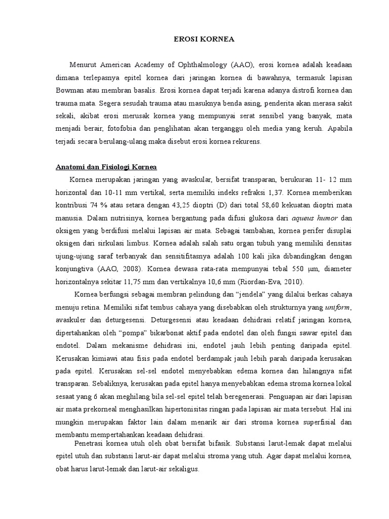 Erosi Kornea & Luka Bakar Kornea | PDF