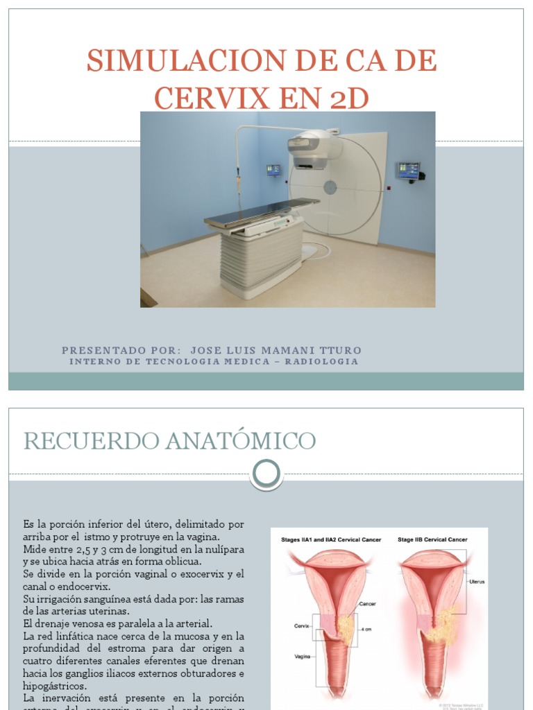 Simulacion de CA de Cervix en 2d... | PDF | Vagina | Planificación