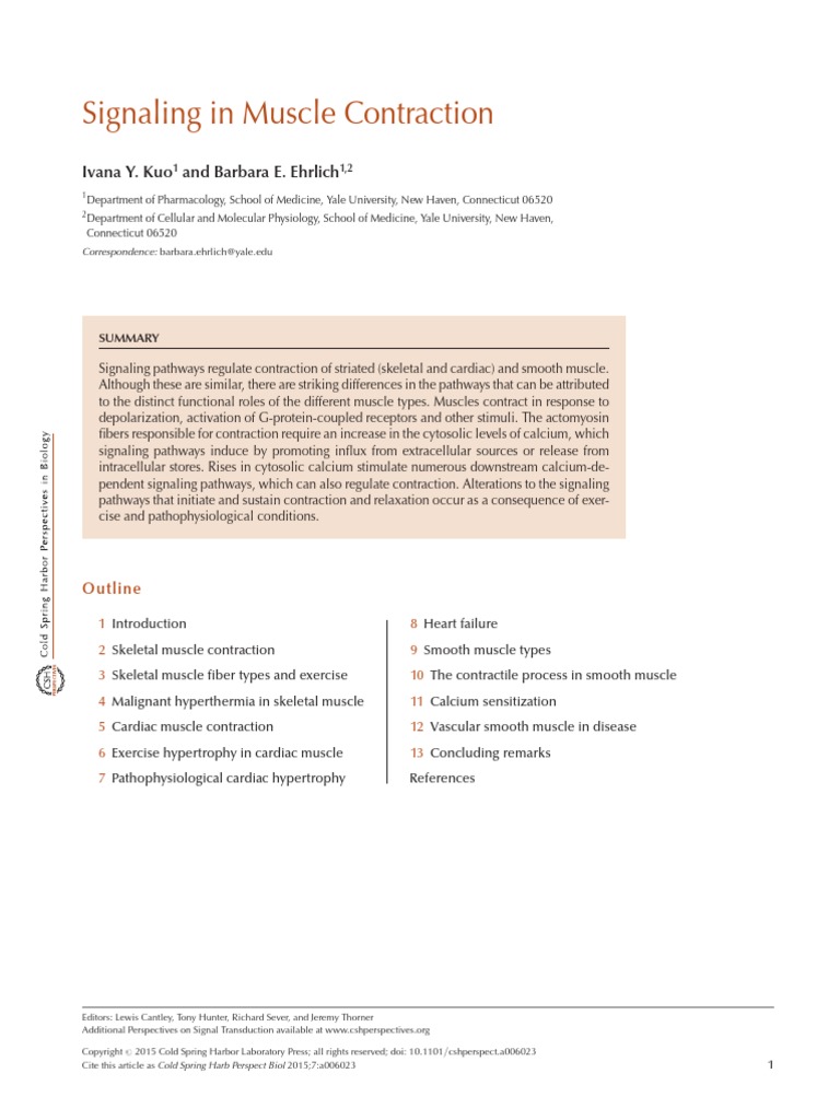 Signaling in Muscle Contraction | PDF | Smooth Muscle Tissue | Muscle ...