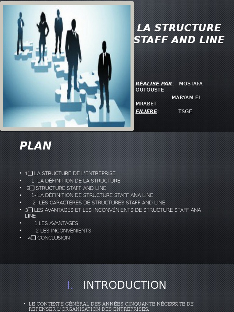 Structure Staff and Line en Entreprise | PDF | Business | Économie