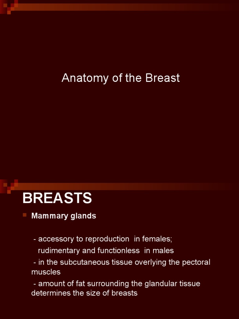 Breast Anatomy and Quadrant Overview | PDF