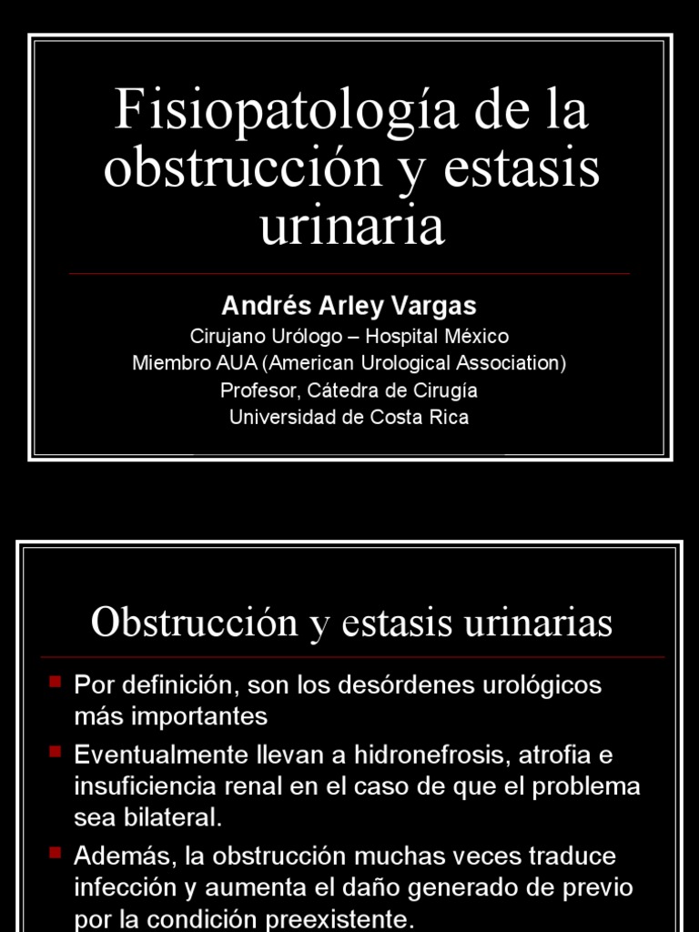 2 Fisiopatologc3ada de La Obstruccic3b3n y Estasis Urinaria | PDF ...