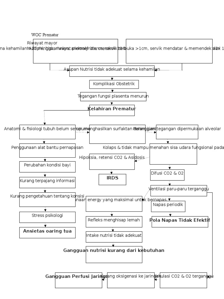 Woc Partus Prematur | PDF