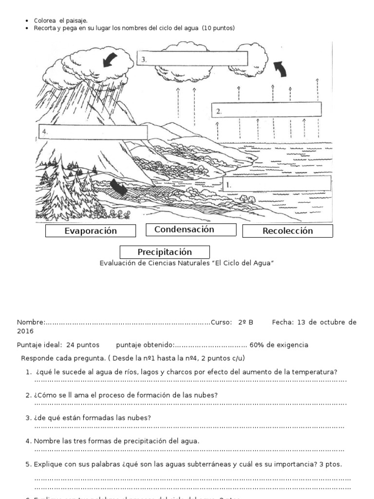 Evaluacion Ciclo Del Agua | PDF