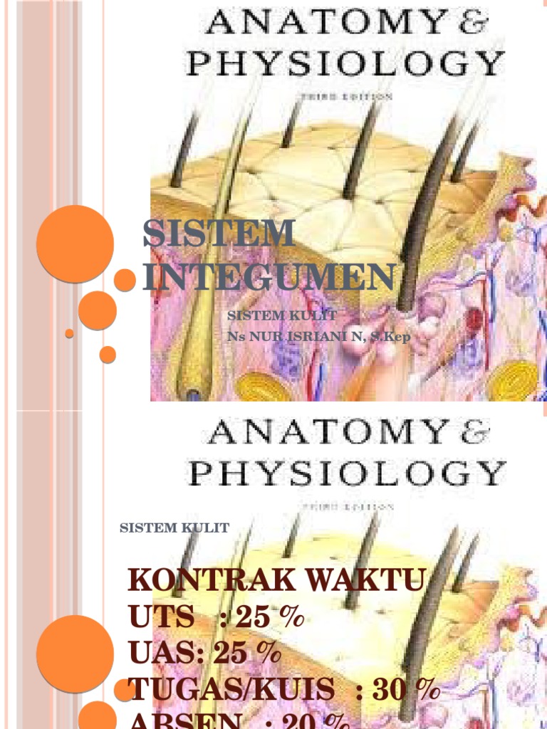 Anfis Integumen | PDF