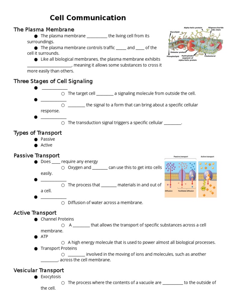 Cell Communication Notes | PDF