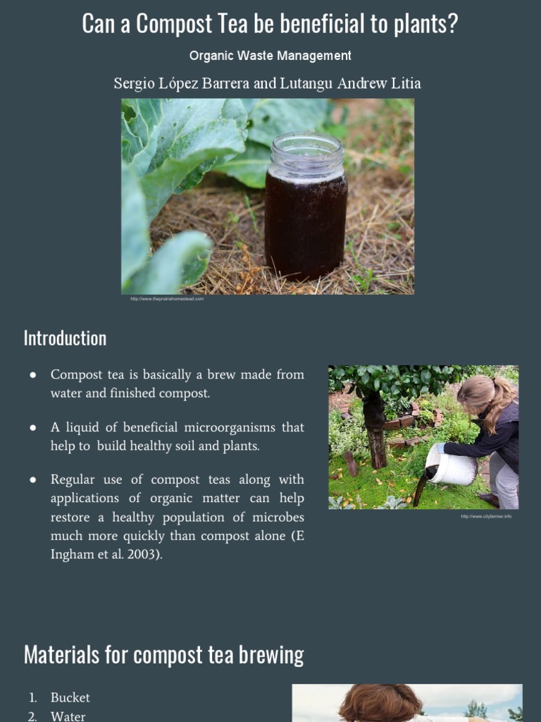 Compost Tea Presentation | PDF | Compost | Organic Matter