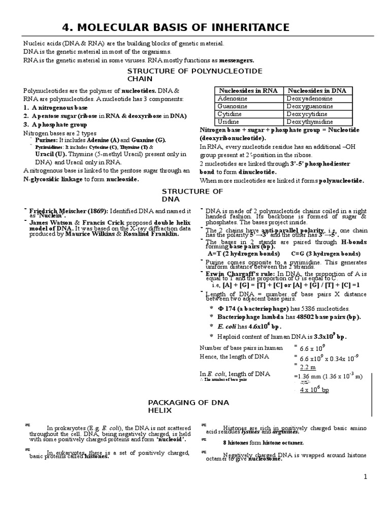 Molecular Basis of Inheritance | PDF | Operon | Translation (Biology) Molecular Basis of Inheritance | PDF | Operon | Translation (Biology)