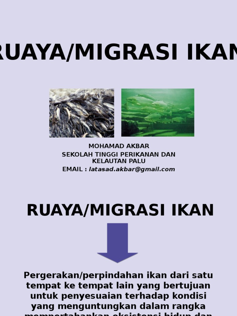 Migrasi Ikan | PDF
