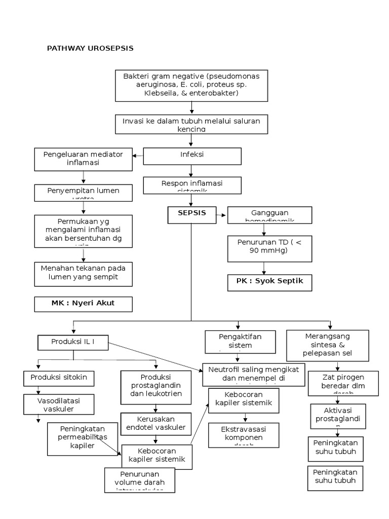 Pathway Urosepsis | PDF