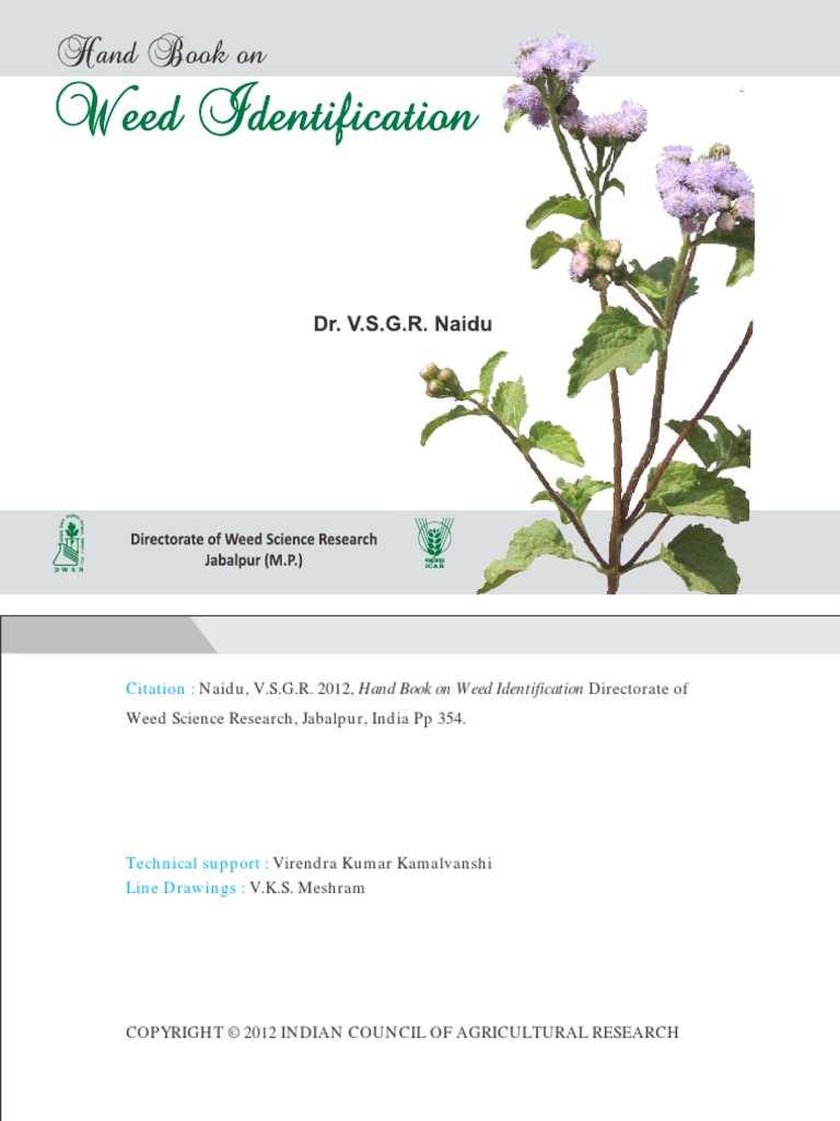 Weed Identification | PDF | Weed | Herbicide