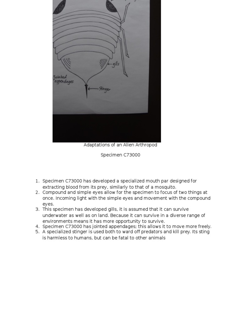 Adaptations of An Alien Arthropod | PDF
