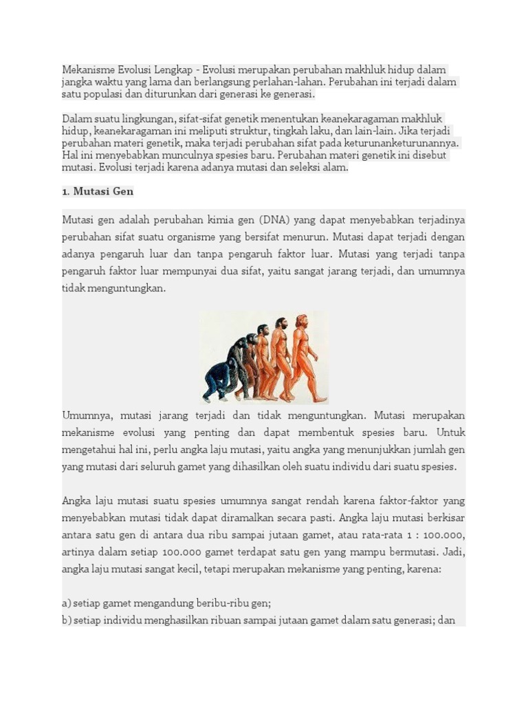 Mekanisme Evolusi Lengkap | PDF
