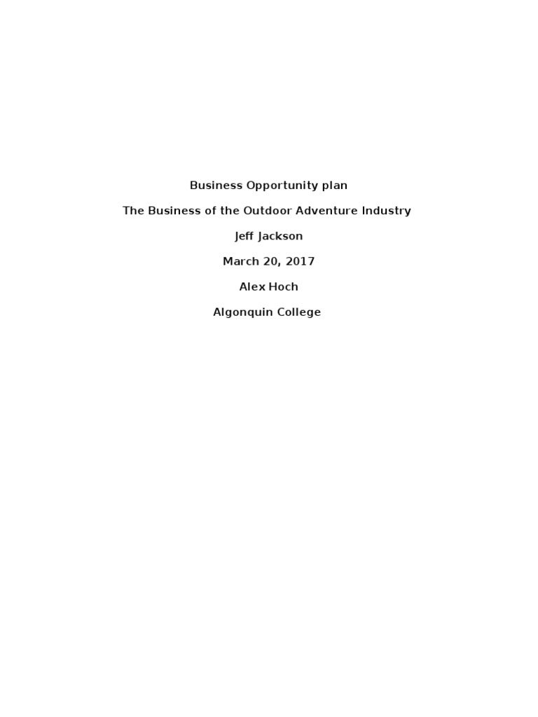 Final Business Plan | PDF | Strategic Management | Toronto