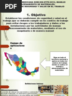Triptico Nom 019 | PDF | Ciencias de la Salud