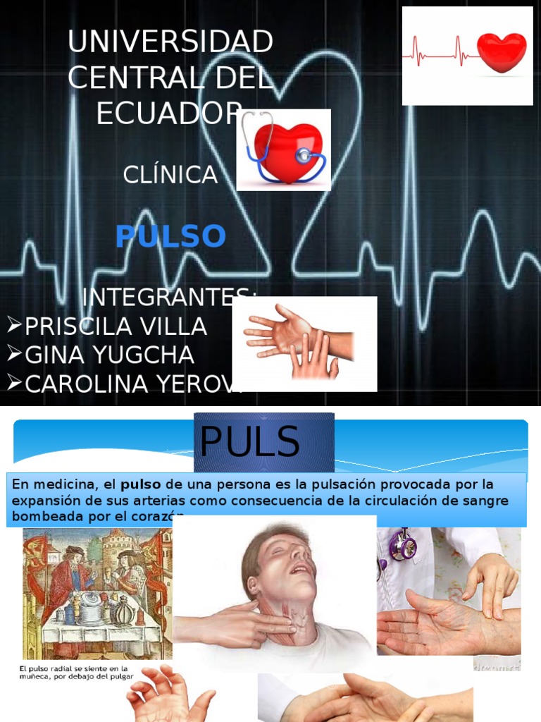 Que Es El Pulso | PDF | Legumbres | Fisiología Cardiovascular